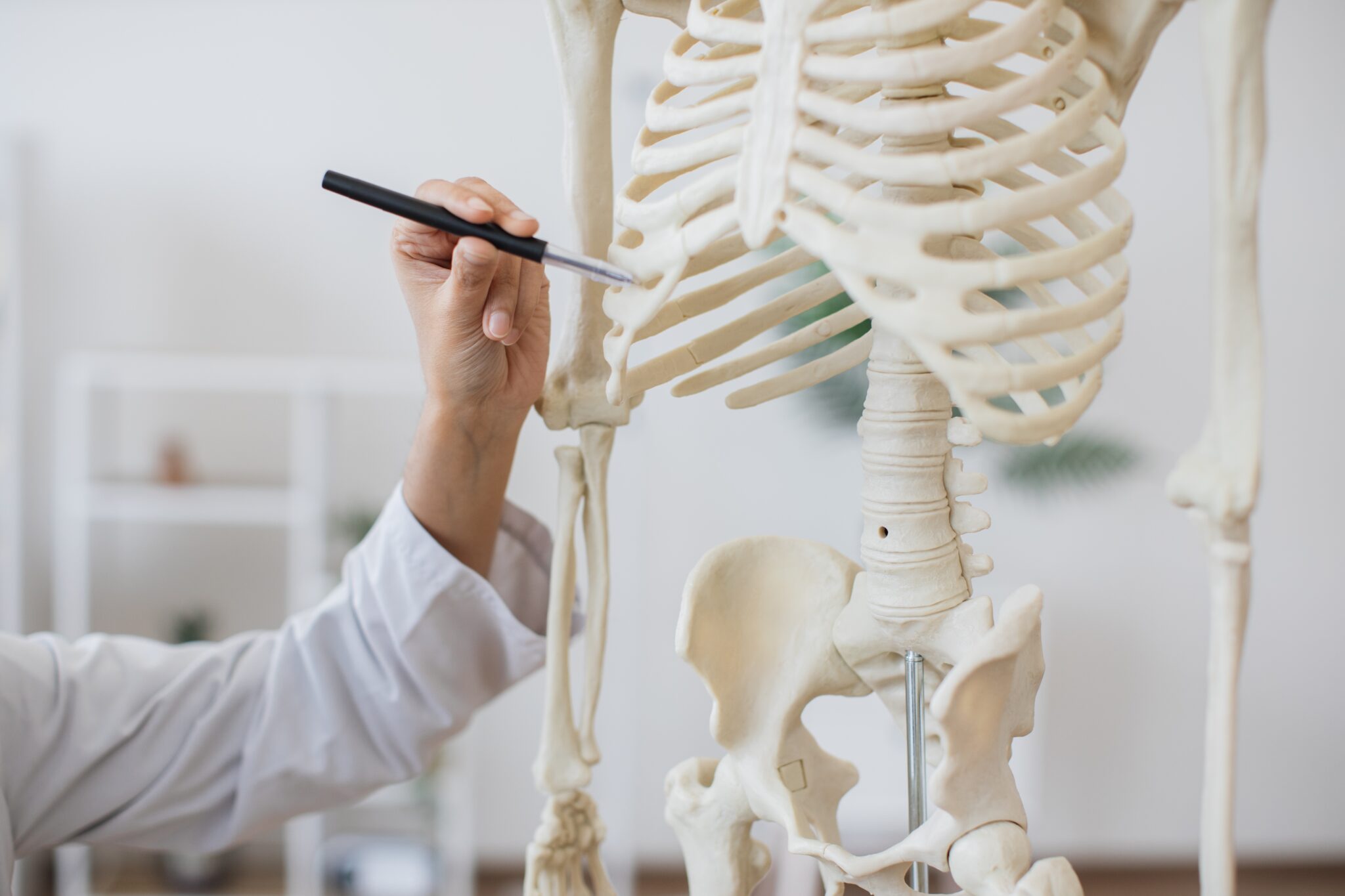 How to Memorize All the Bones in the Body Easily